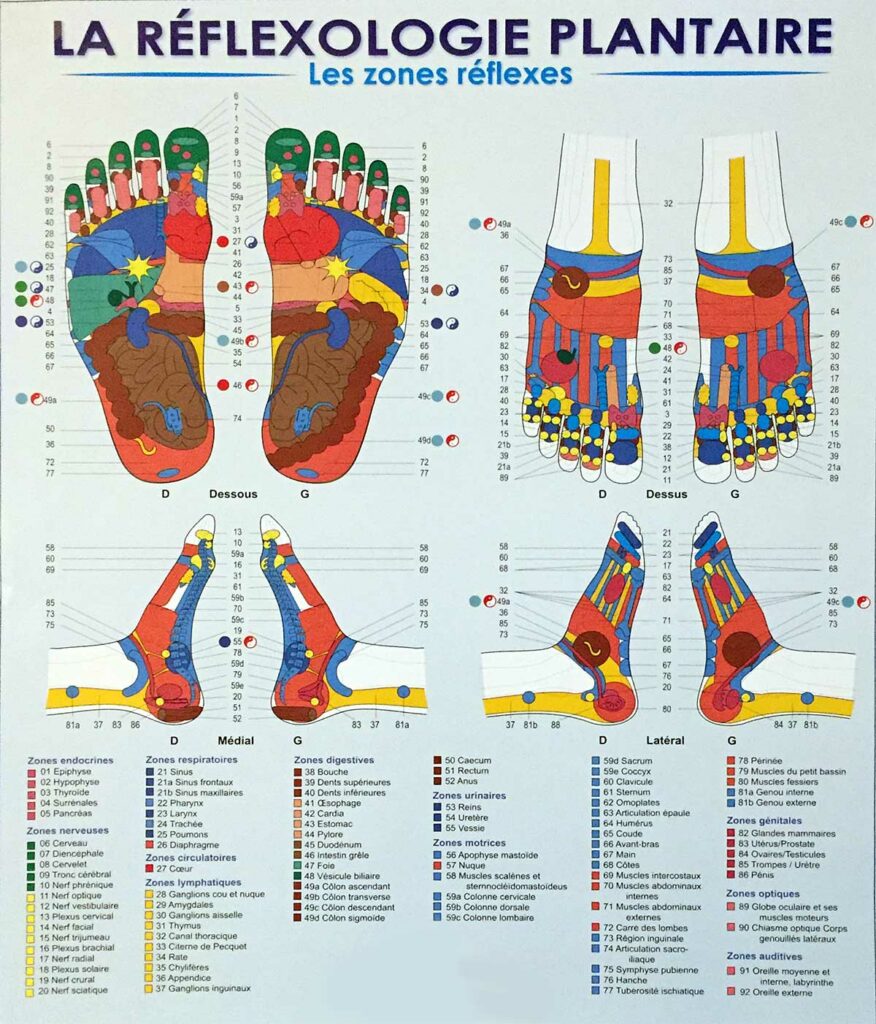 Réflexologie • Damien Levy • Réflexologue à Puyricard (13)
